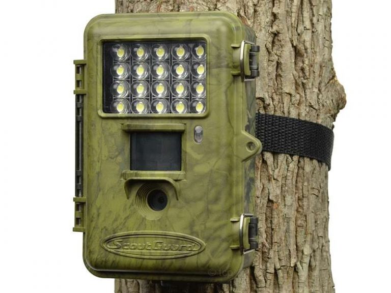 Trappole fotografiche funzionamento e utilizzo - Telecamere ...